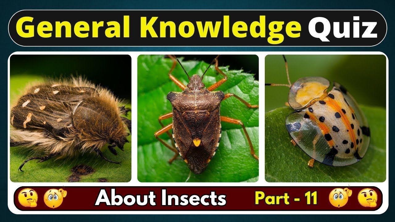 Can You Ace This Insect Quiz? 10 Mind Blowing Gk Questions (Part 11 ...