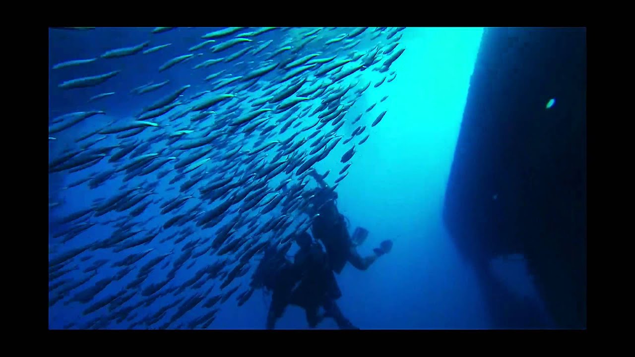 USS Vandenburg Wreck Dive Key West, FL - YouTube