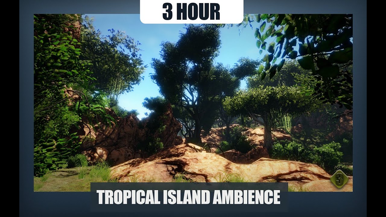Tropical Island Ambience | 3 Hours - YouTube