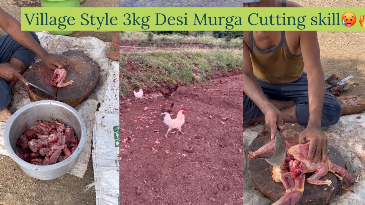 Village Style 3kg Desi Murga Cutting skill🥵🔥|Village Style Skills|india ...