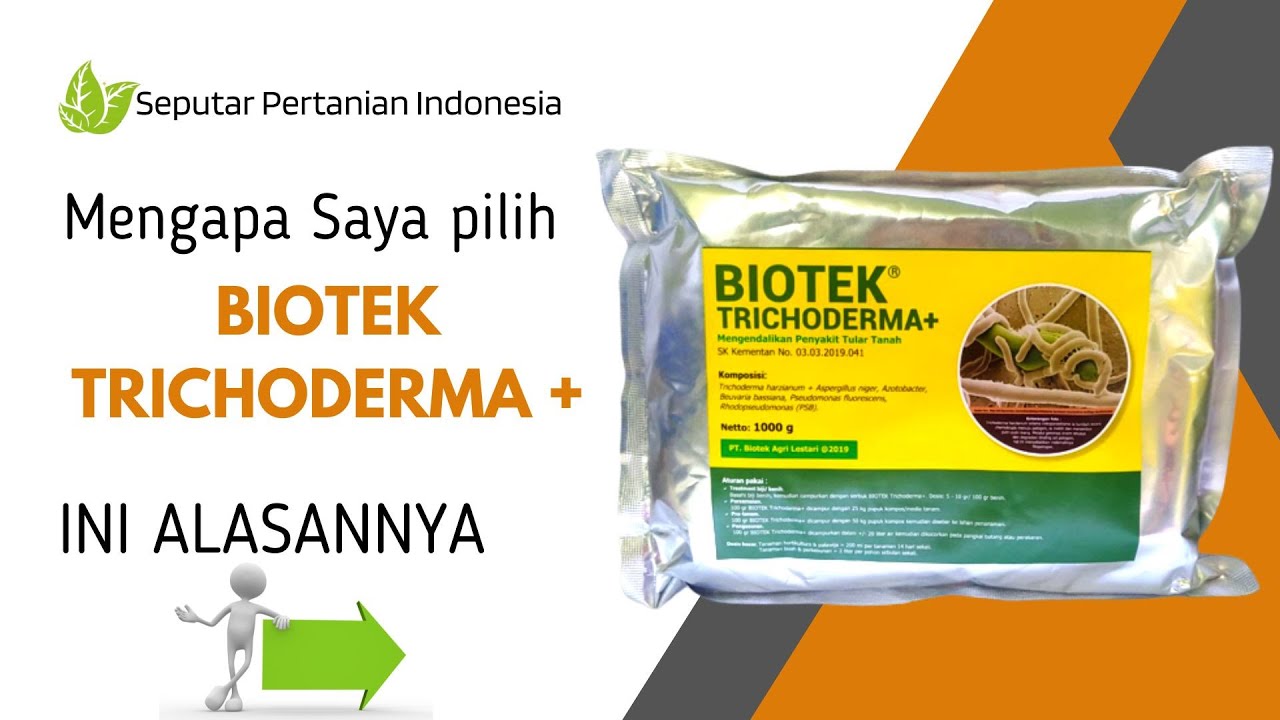 BIOTEK TRICHODERMA Pengendali Busuk Buah, Pengendali Busuk Akar, Bio Fungisida Tricoderma 1KG ...