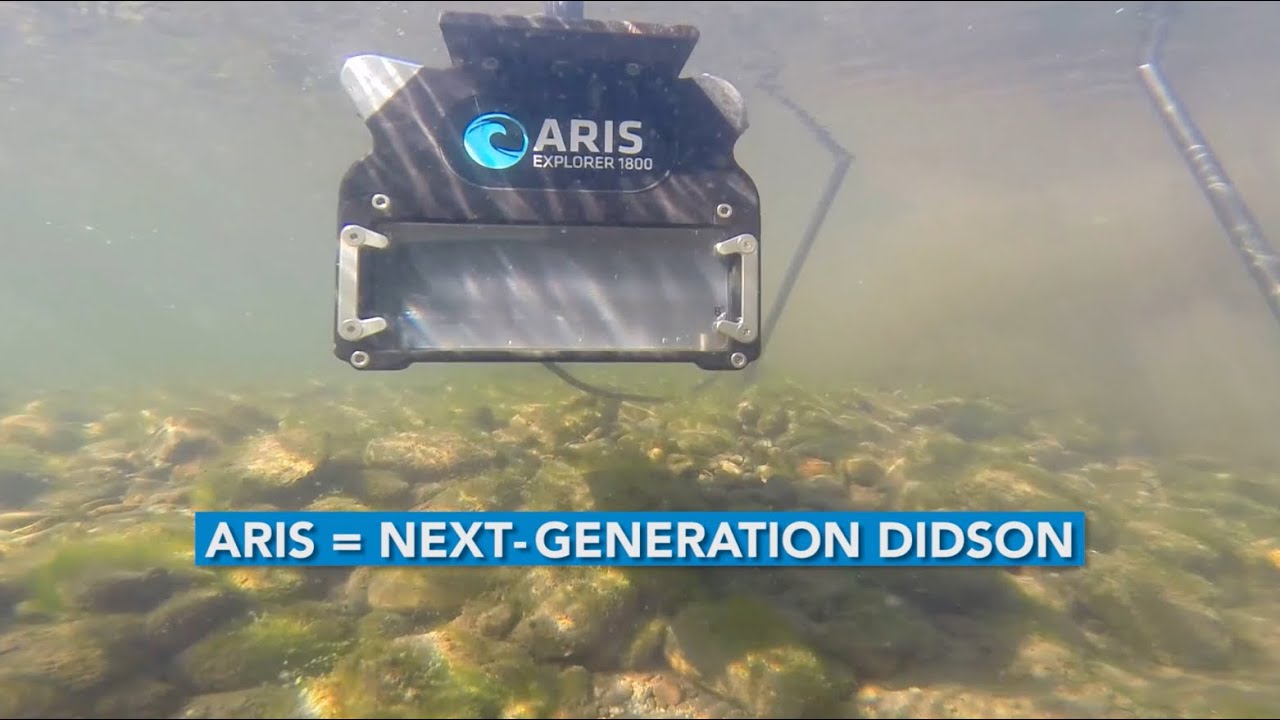 ARIS Camera Tutorial & Review - YouTube