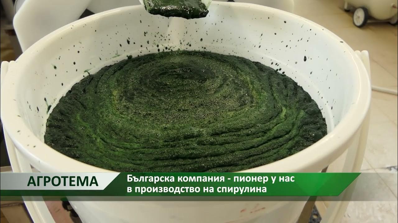 Агротема: Българска компания - пионер у нас в производство на спирулина ...
