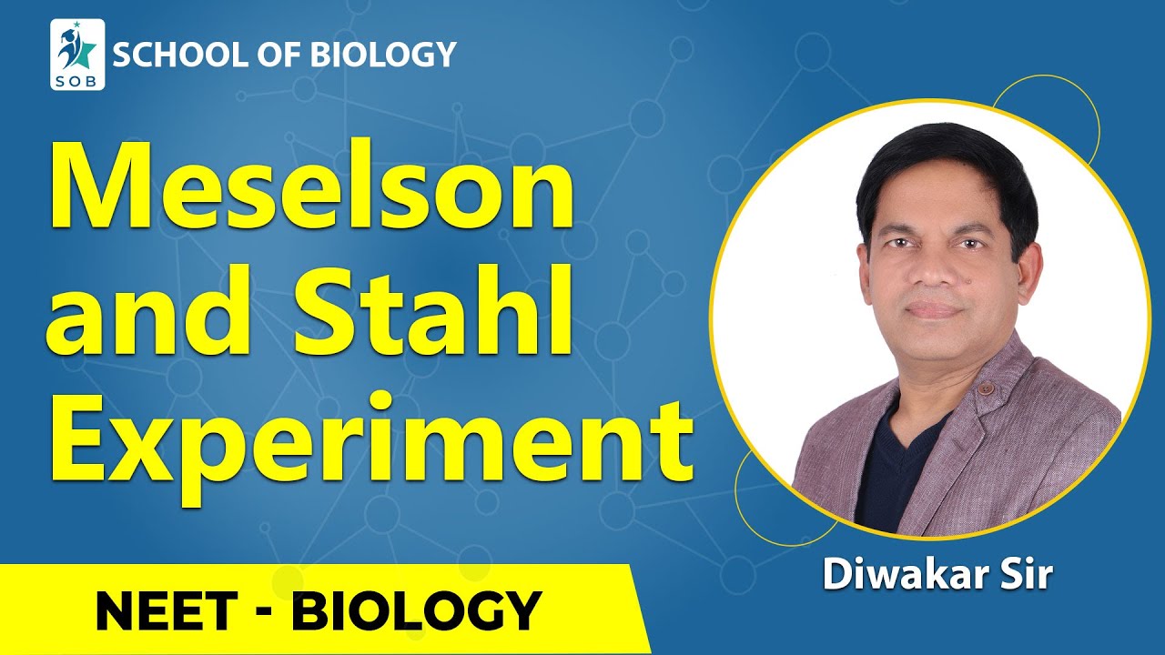 Meselson and Stahl Experiment | Class 12 Genetics | NEET Biology - YouTube