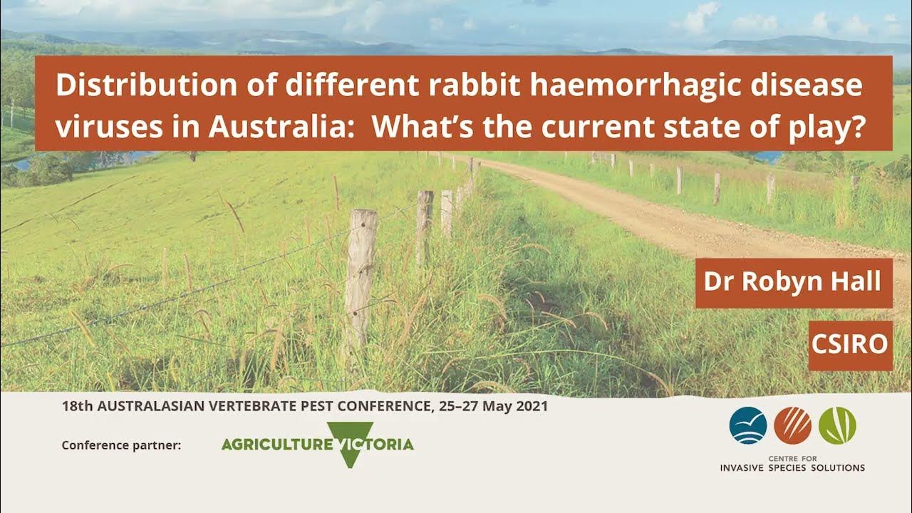 Dr Robyn Hall | Distribution of different rabbit haemorrhagic disease viruses in Australia - YouTube