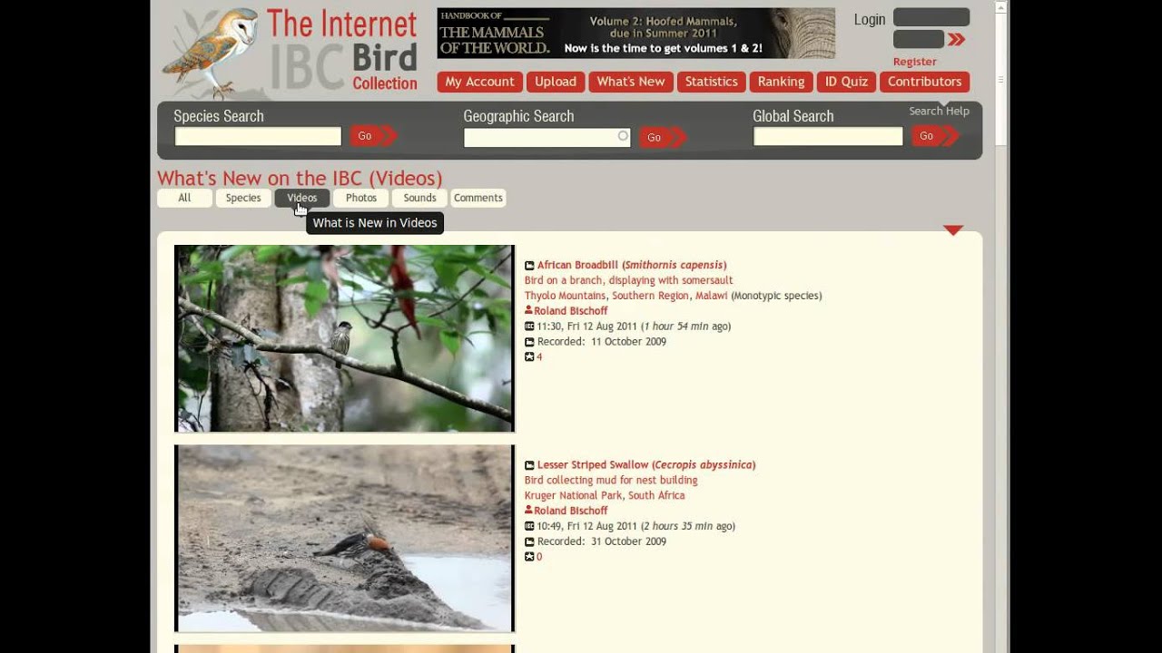 The Internet Bird Collection Tour - YouTube