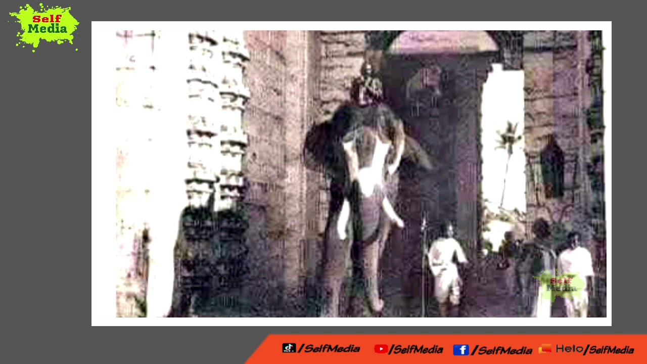 മ്യൂസിയത്തില്‍ ഇന്നും ജീവിക്കുന്ന രംഗനാഥന്‍ | Chengallur ranganathan ...