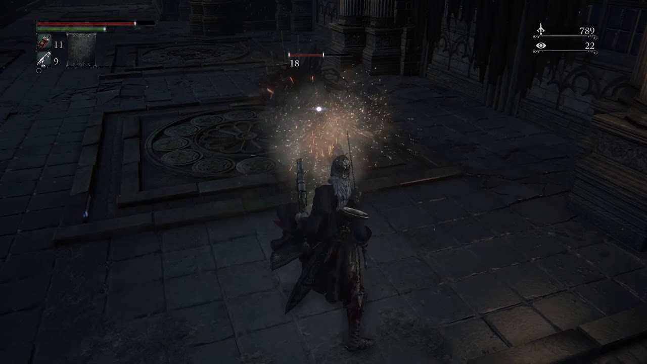 Bloodborne® The Old Hunters Edition Bloody Crow - YouTube