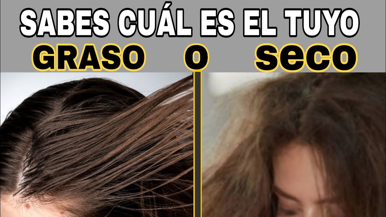 CÓMO SABER SI TENGO CABELLO GRASO O SECO/PRODUCTOS Y CÓMO CUIDAR - YouTube