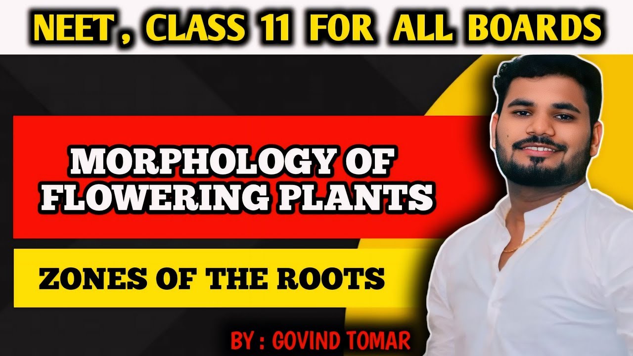 Zones of the ROOT | Plant morphology | NEET |Govind Tomar | Boards ...