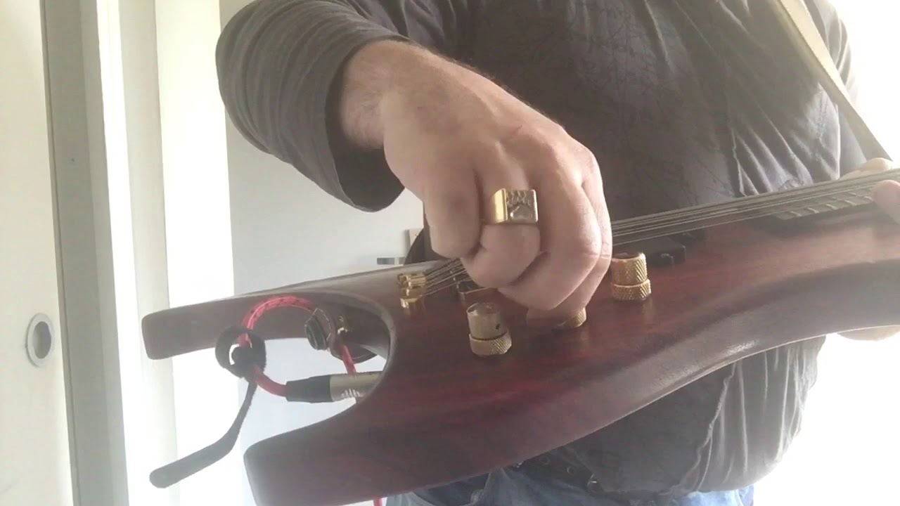 Warwick Buzzard 8-strings bass - YouTube