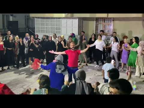 Erzurum Düğünü 2022 Halaylar