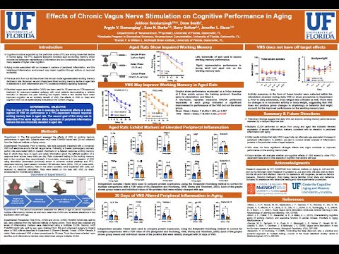 Johleen Seedansingh SFN poster 2023 - YouTube