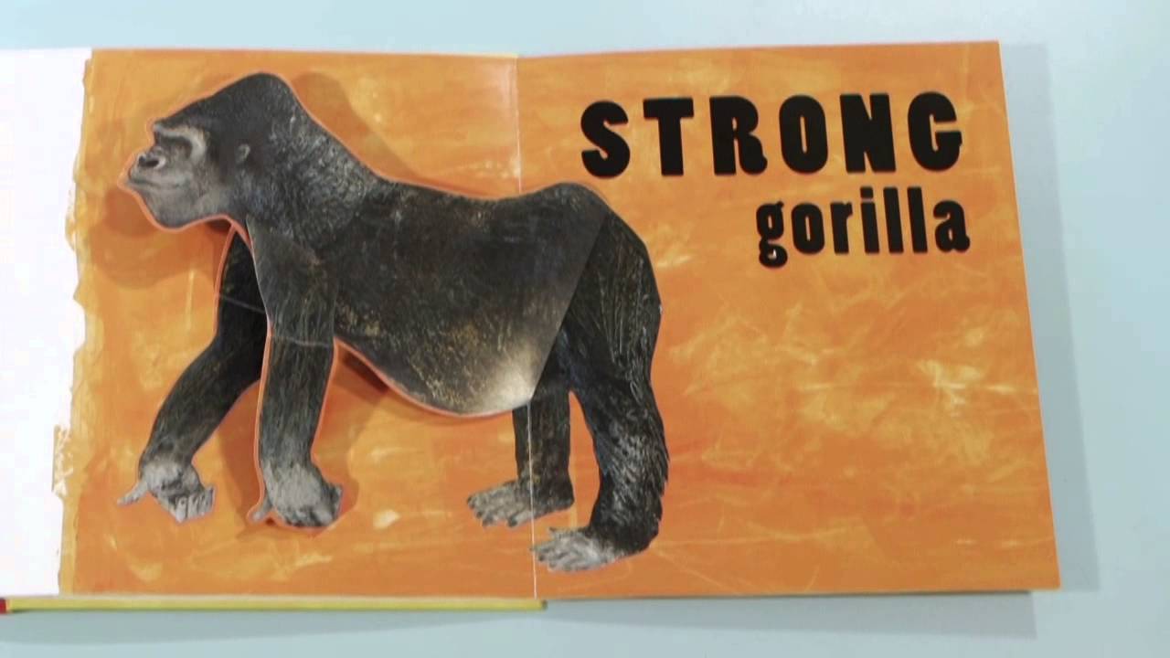 Look inside Animal Opposites by Petr Horacek - YouTube