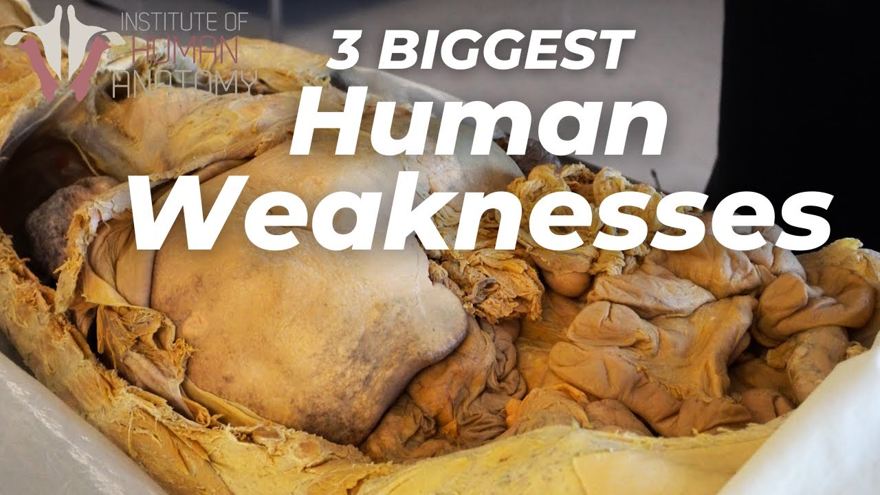3 BIGGEST Weaknesses of the Human Body - YouTube