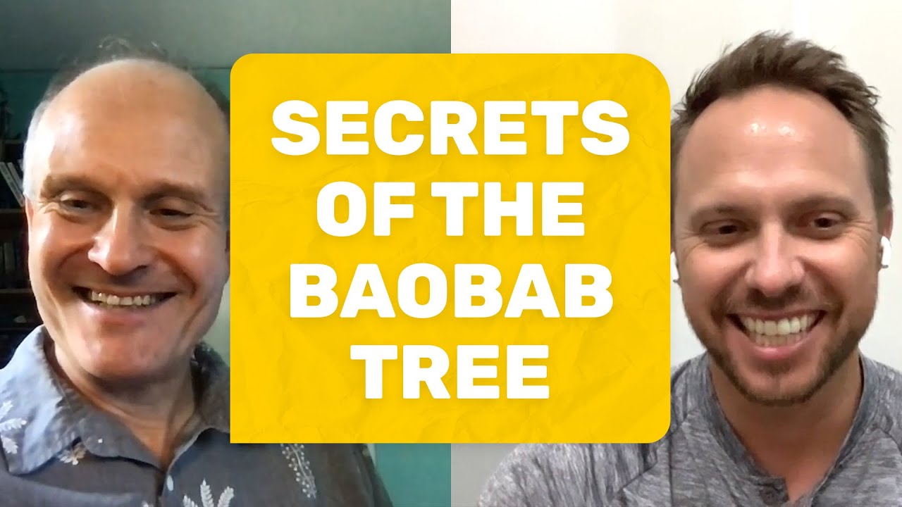 Baobab Trees and the Creatures That Keep Them Alive with Dr. David Baum ...