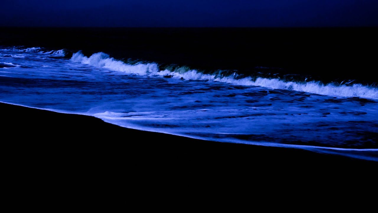 Sleep well with the sound of the ocean and waves lulling you to sleep ...