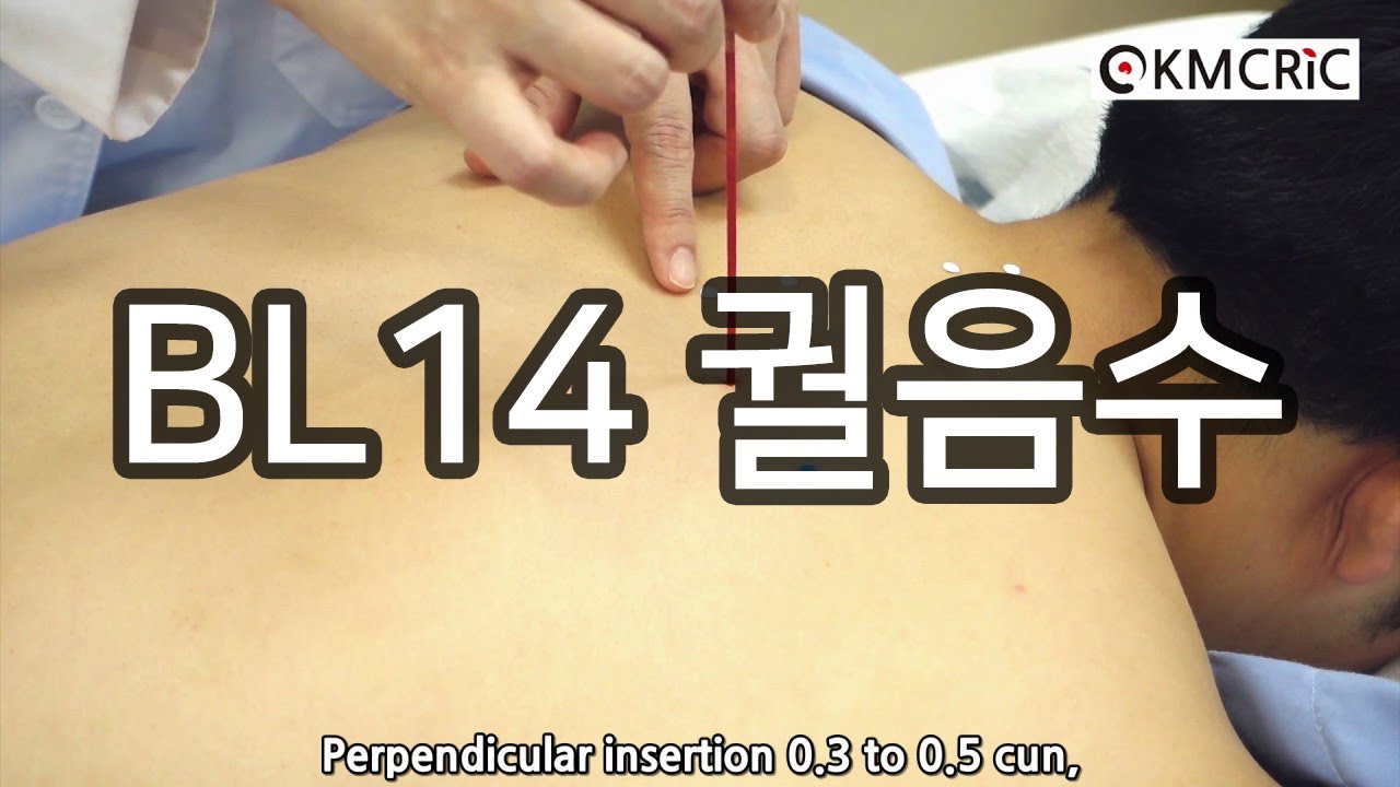 BL14 궐음수 厥陰兪 Jueyinshu (Eng sub) - KMCRIC WHO Standard acupoint DB ...