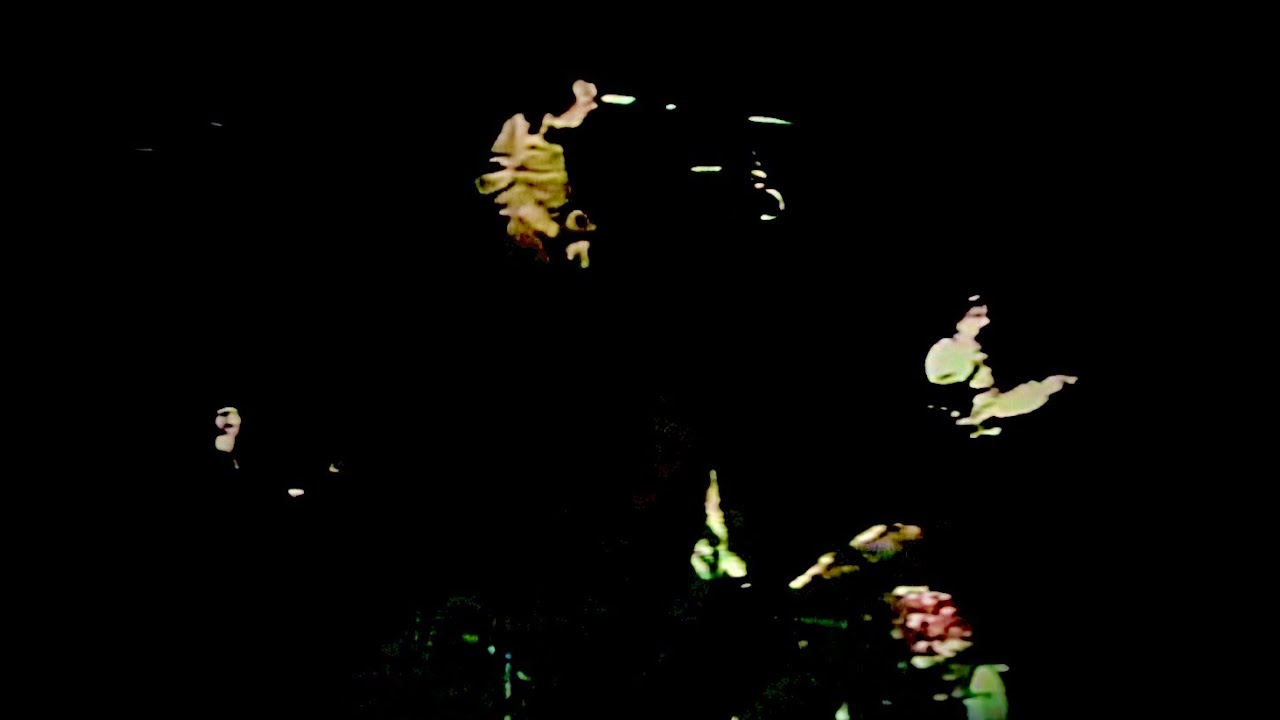 Badfinger - No Matter What - (Larry Kane Show) - YouTube