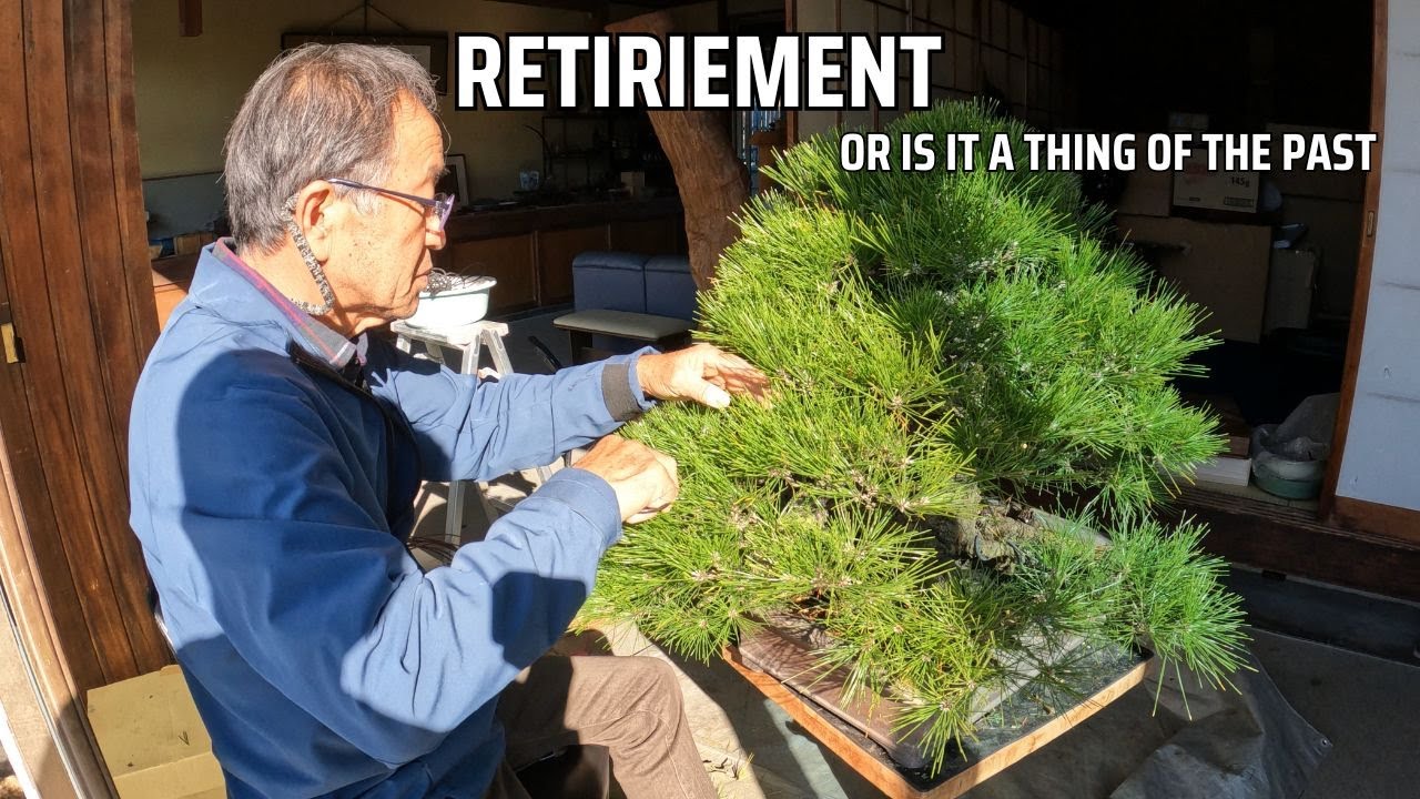Retiring In Rural Japan. What do people do when they retire or do they ...