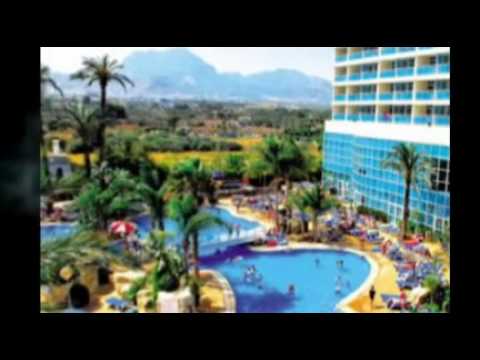 Hotel Flamingo Oasis - YouTube