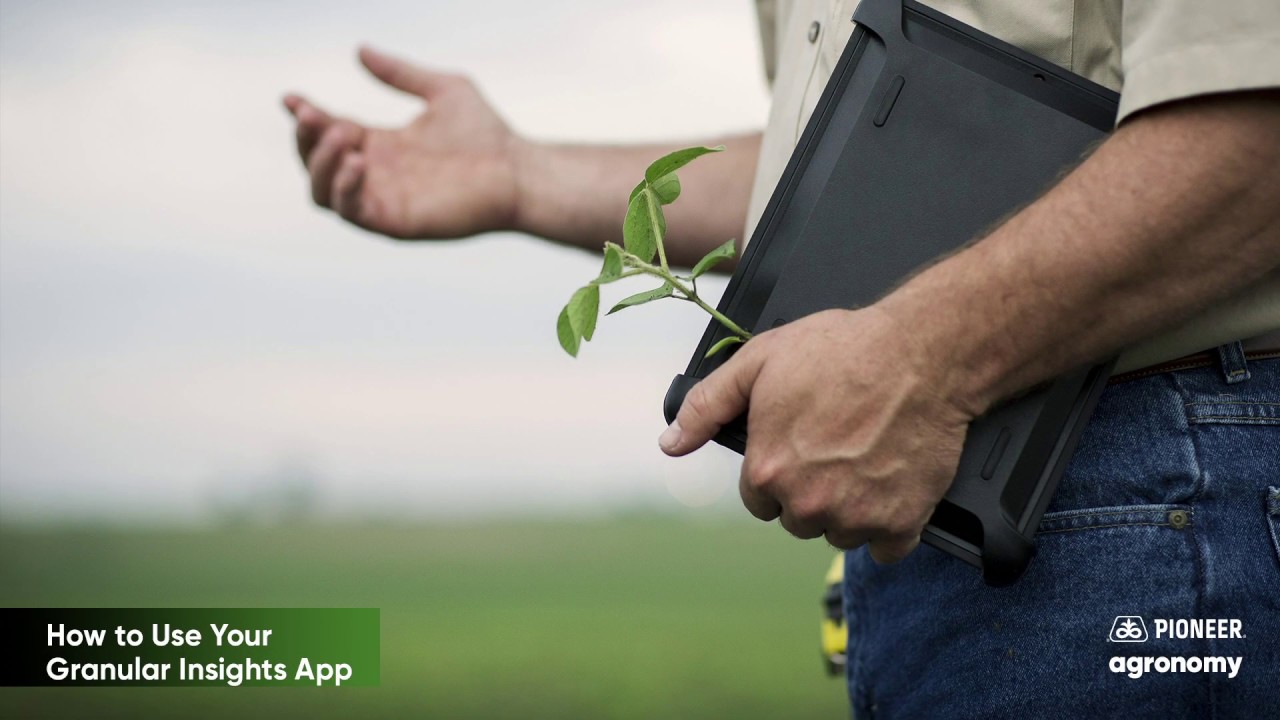 Granular Insights App: Understanding Your Fields - YouTube