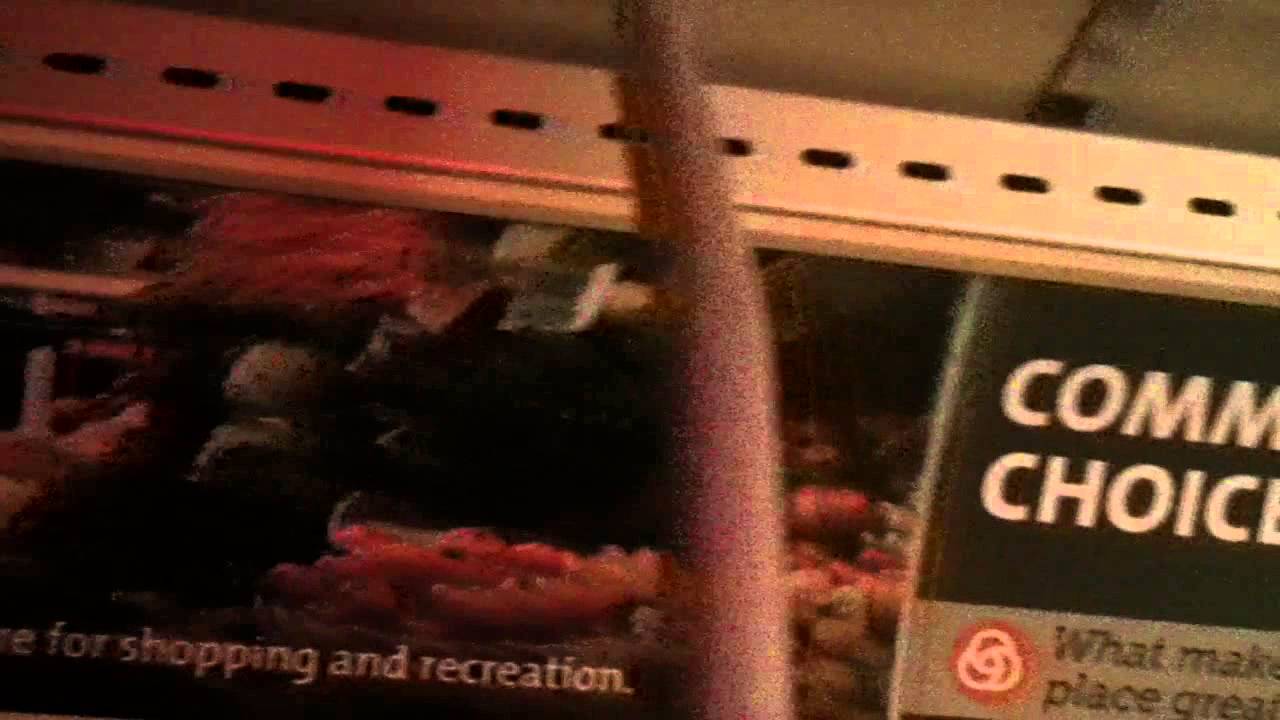 Inside of Trimet bus filled with Trimet propaganda - YouTube