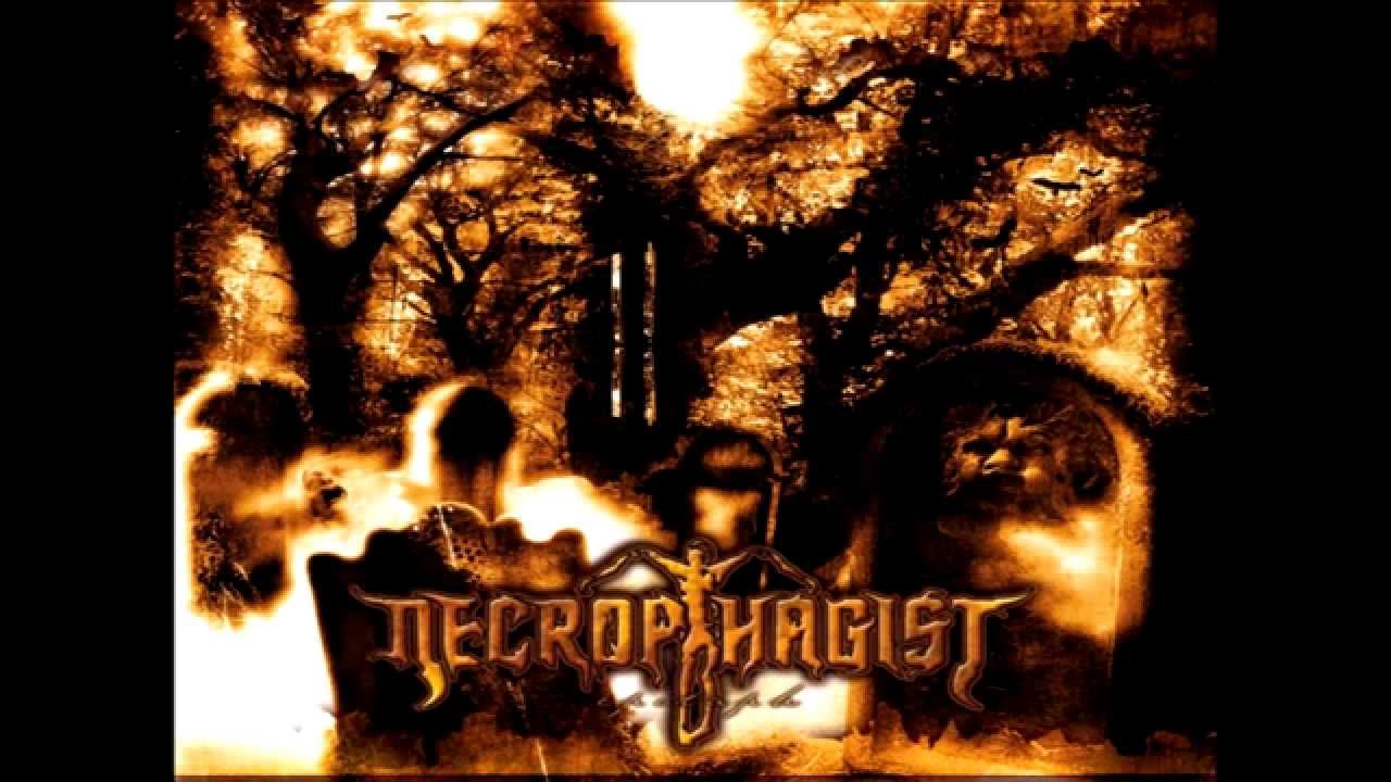 Every solo by Necrophagist at the same time (Epitaph album) HD - YouTube
