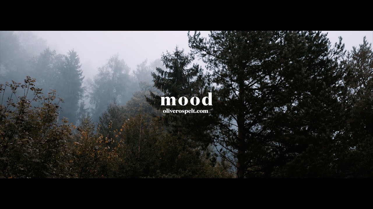 Mood - walk through the forest in Liechtenstein - YouTube