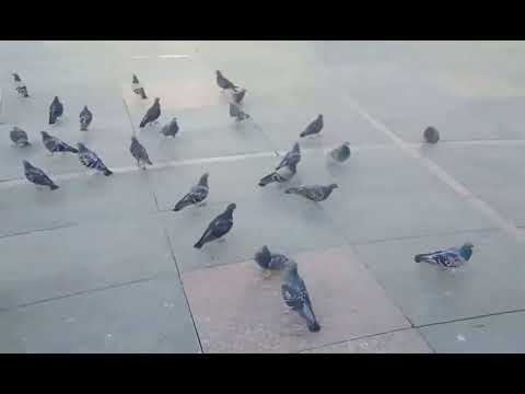 CÜBBELİ AHMET HOCA DEPREM VAAZI 1999