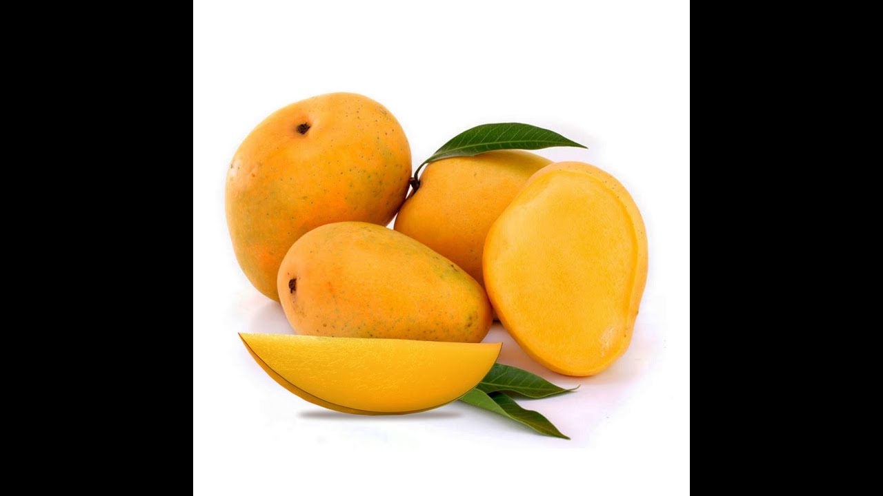 1)Prog on Nela-Jala scheme under MGNREGA.2)Mango cultivation. - YouTube