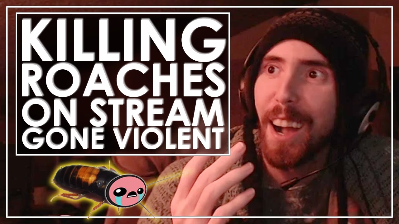 Best of Asmongold #29 | Roach Snippin' - YouTube