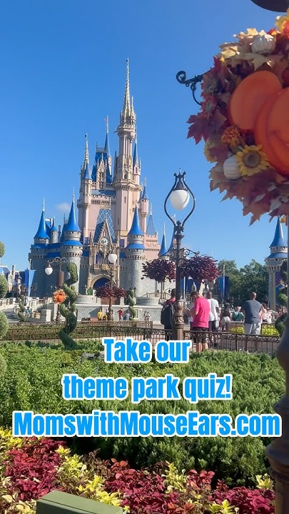 Walt Disney World Theme Park QUIZ | Which one is your match?!? - YouTube