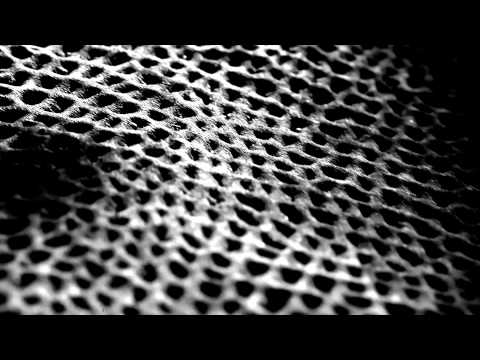 Turkish Leather Brands present: The Leather Age by Hatice Gökçe