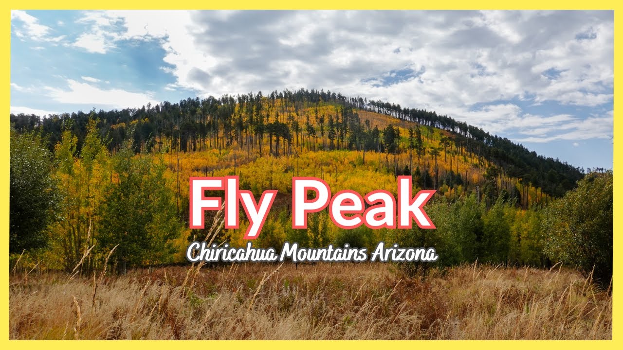 Chiricahua Mountains | Fly Peak 9,667' & Centella Point Overlook ...
