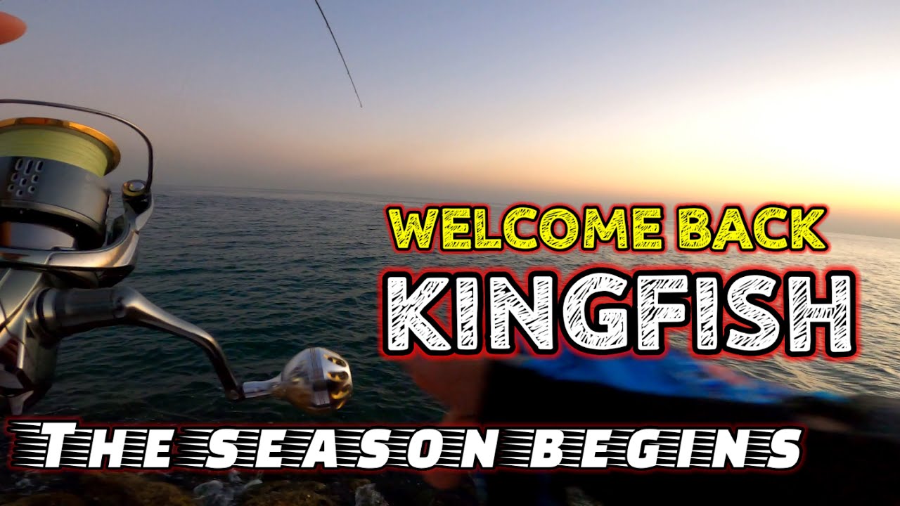 KINGFISH SEASON IS HERE | SHORELINE FISHING BAHRAIN - YouTube