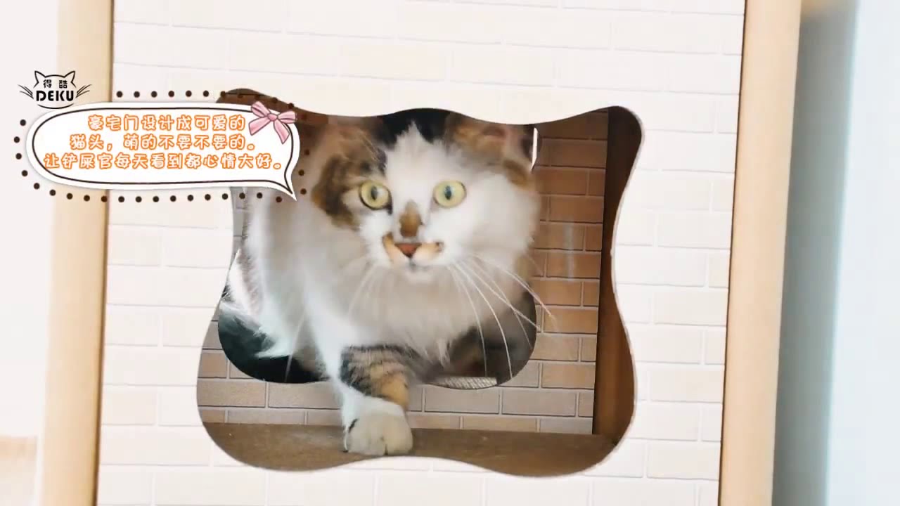 Cool crepe paper cat house DIY - YouTube