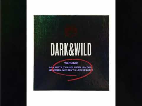 BTS 방탄소년단 - WAR OF HORMON (MP3)