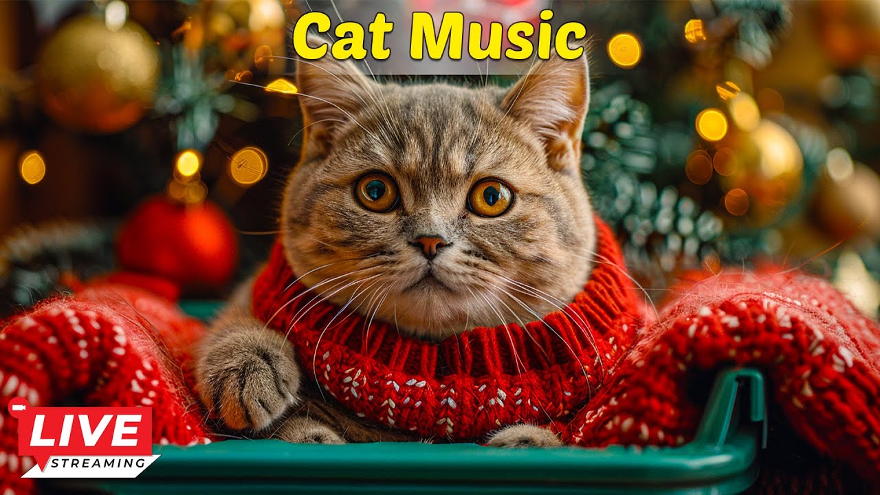 Soothing Music for Cats - Christmas Music for Stressed Cats, Helps Cats ...