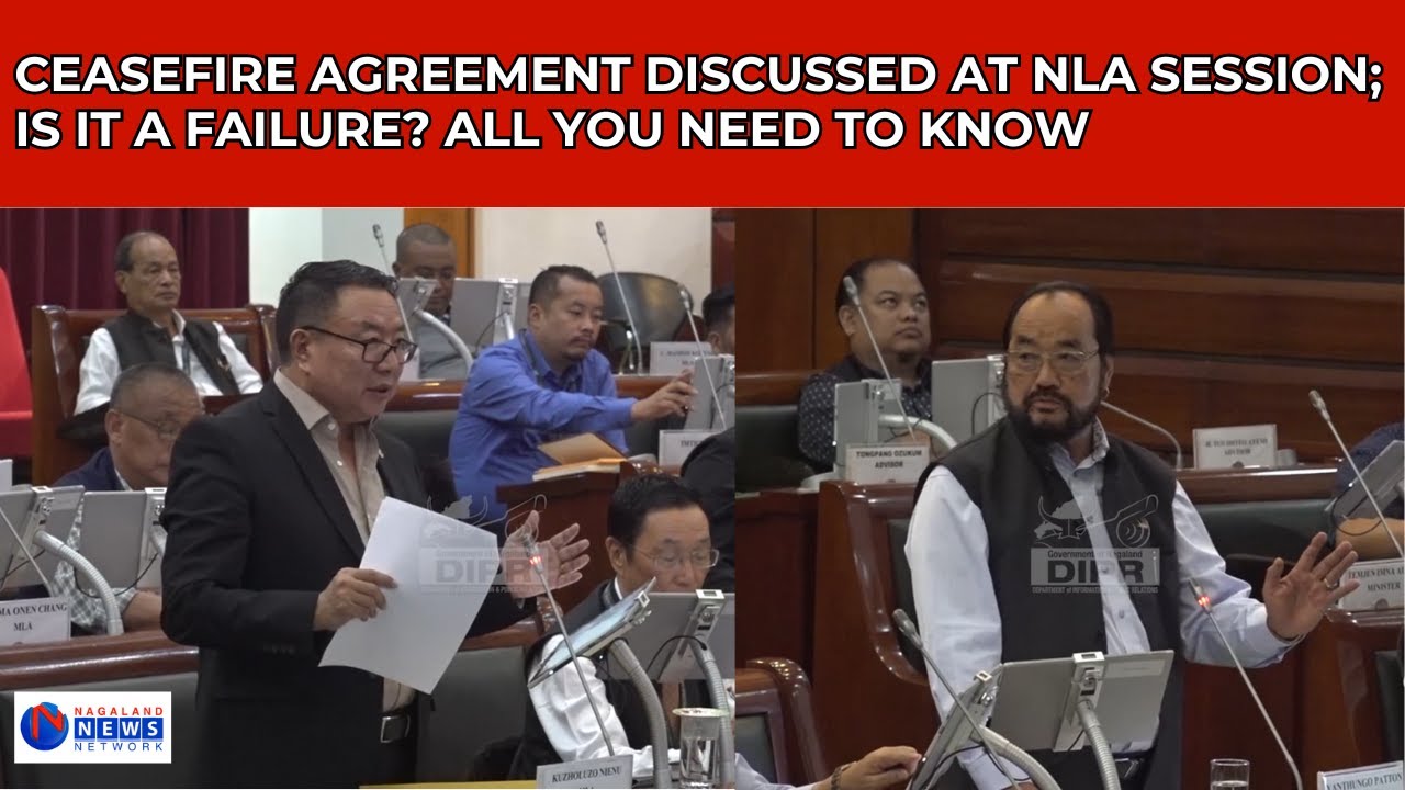 CEASEFIRE AGREEMENT DISCUSSED AT NLA SESSION; IS IT A FAILURE? ALL YOU ...