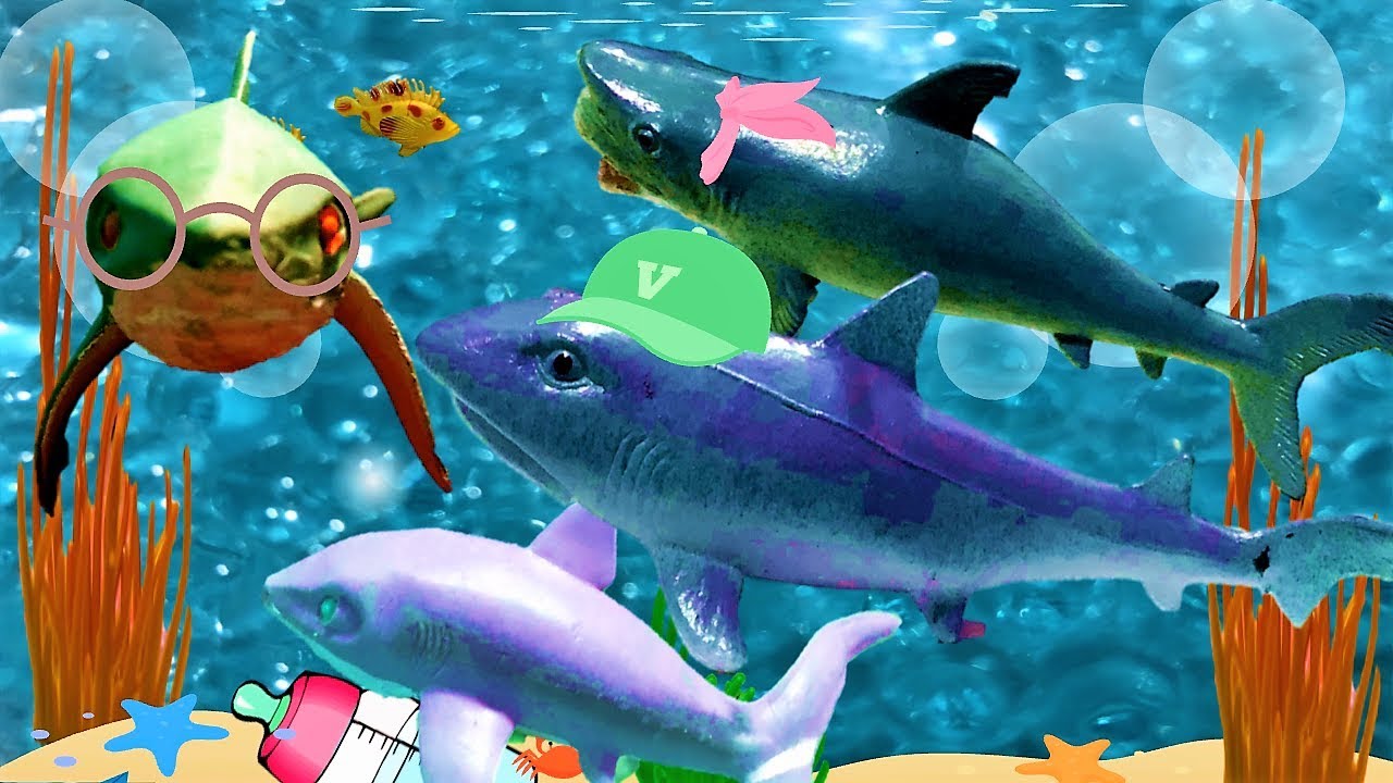 Baby Shark Remix | Faster & Faster | Fun Video For Kids - YouTube