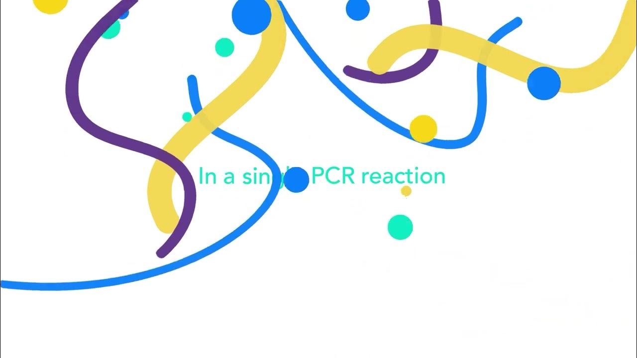 WE ARE TAAG Genetics - YouTube