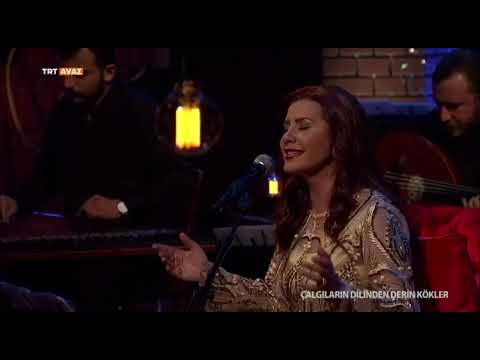 Feryal Tüzün: Dillen Lalam