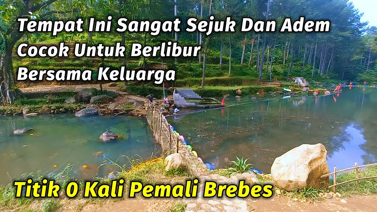 Full keliling wana wisata tuk sirah kali pemali winduaji paguyangan ...