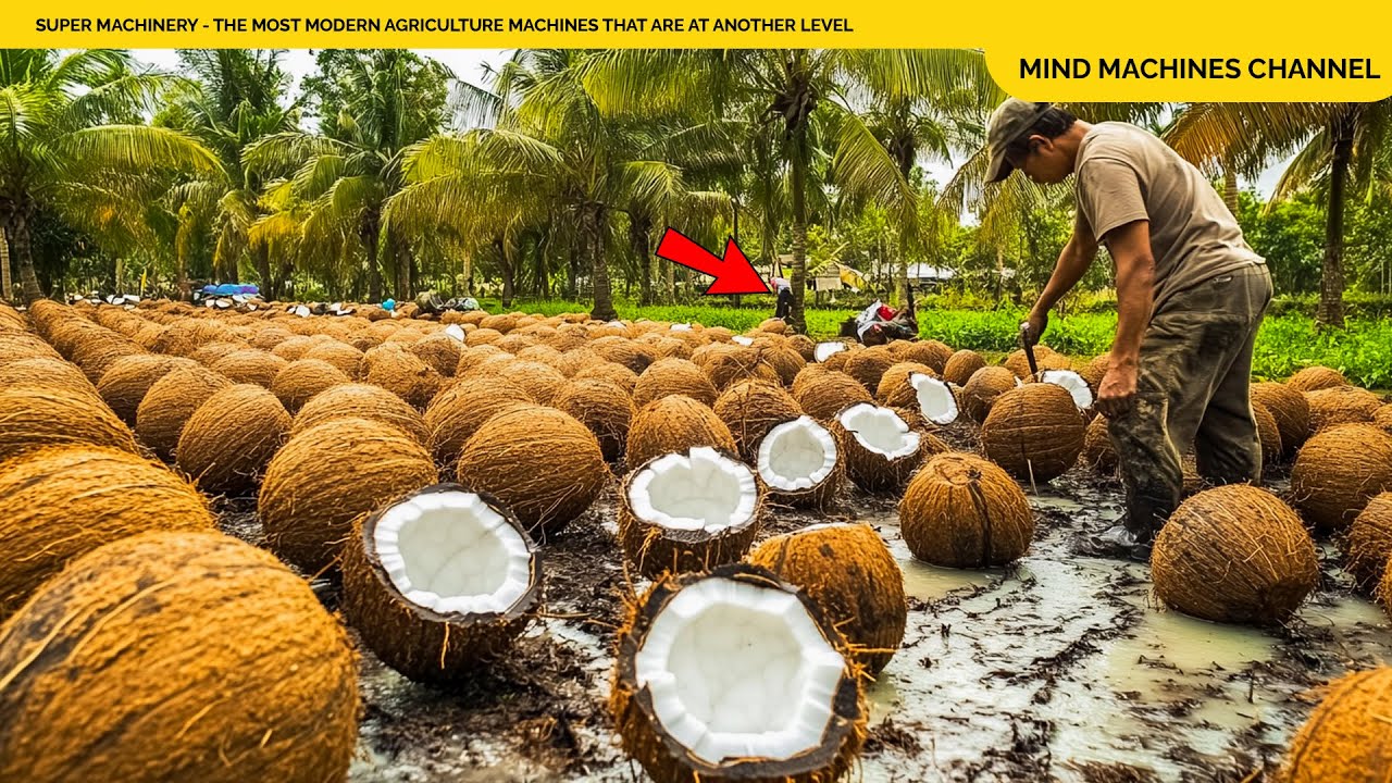 Revolutionary Agriculture Machines - Advanced Coconut Harvesting ...