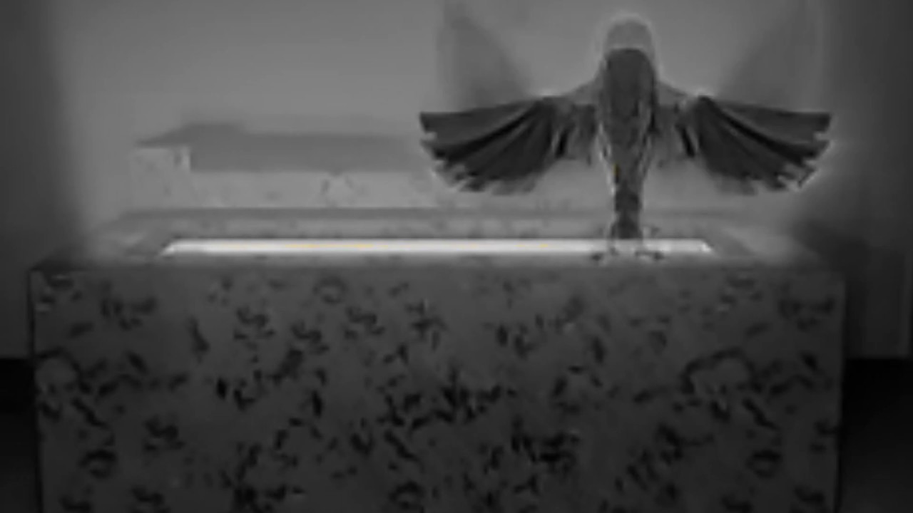 Starving Souls - Pyramid (Official lyric video) - YouTube