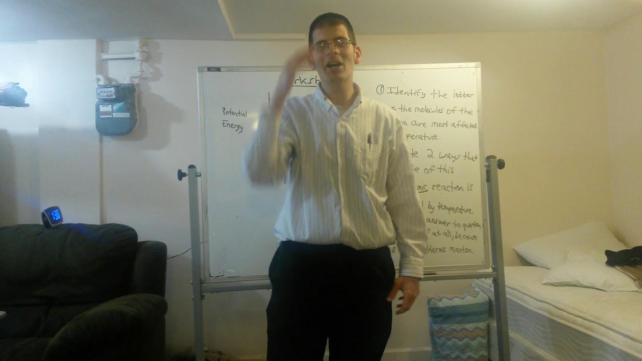 Michael Borenstein's Lesson on the Effect of Temperature on the Rate of ...