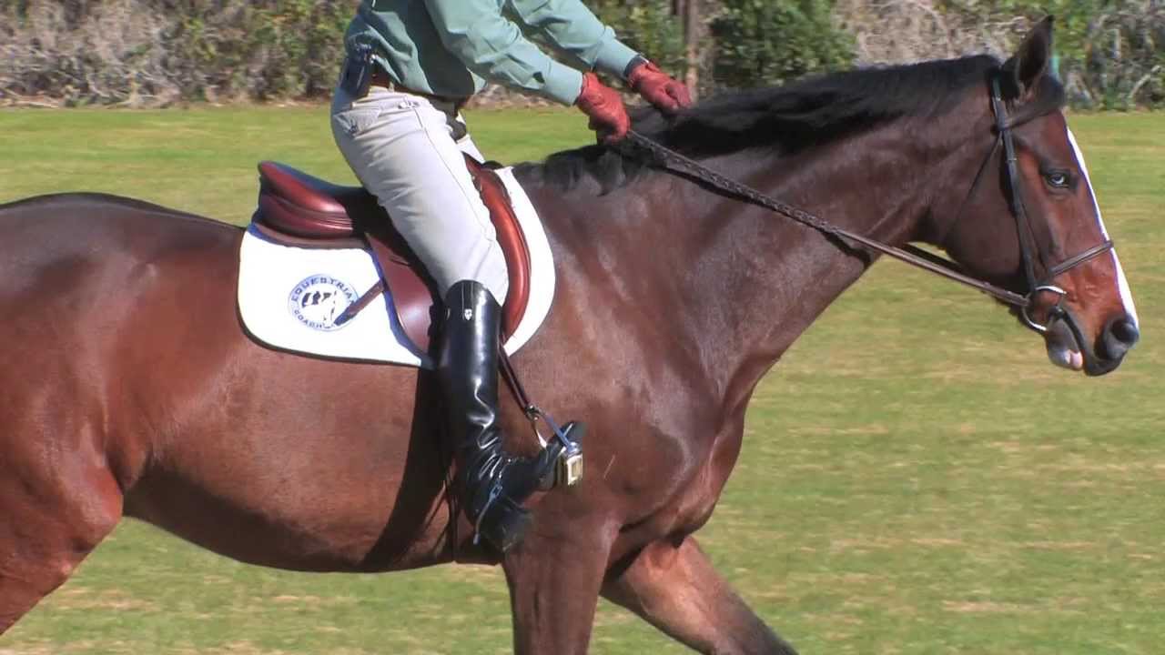 Improve Your Lower Leg Position - YouTube