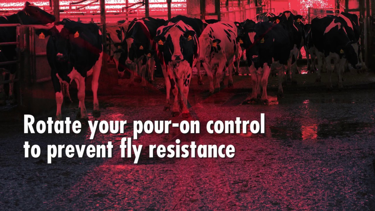Rotate CyLence® with Martin's® Fly Ban and Ultra Boss® to prevent ...