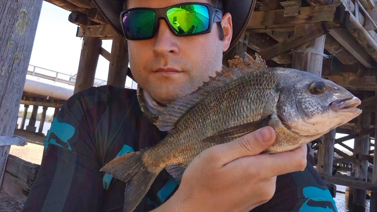 Hunting Big Bream - Fishing the Swan River - YouTube
